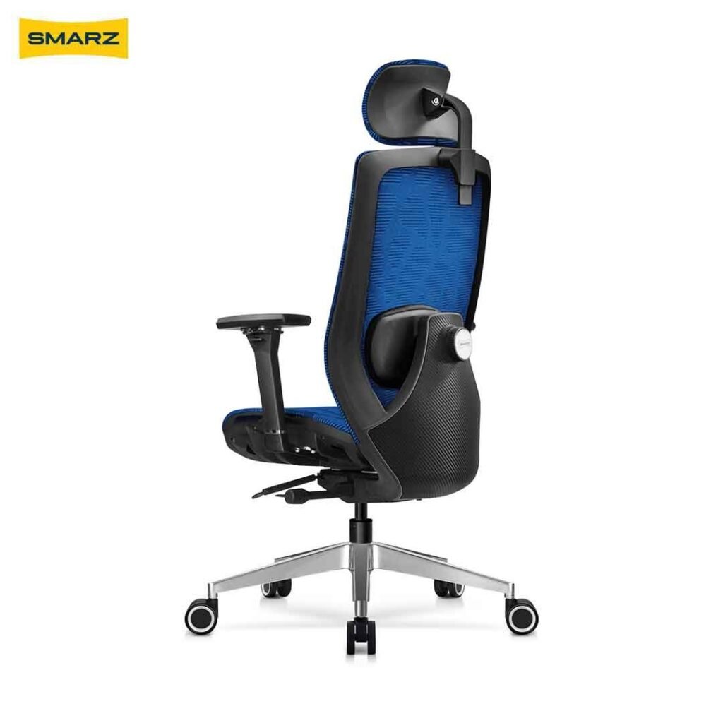 Dorzal Max Ergonomic Chair (Azure Phantom) – Vectrasit Office Solution